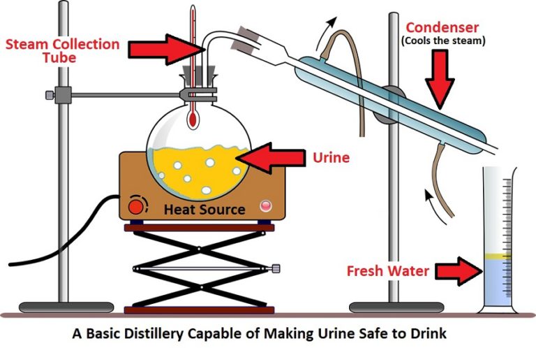 Drinking Urine in Survival Situations: Is It Safe? – Super Prepper